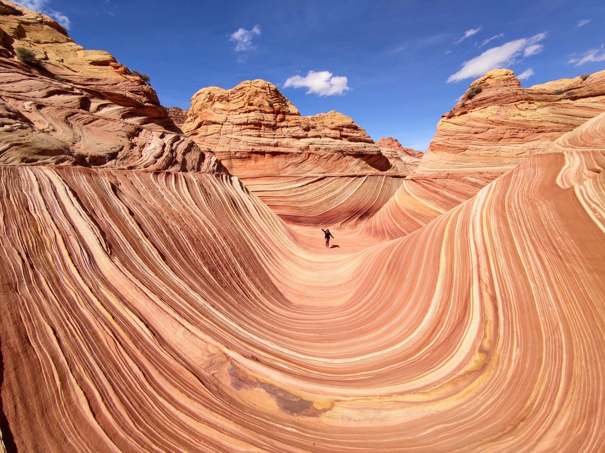 USA#19 : The Wave - René on the road